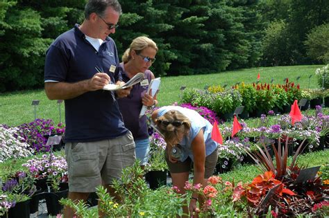 Valley View Farms Growing Garden Ready Plants