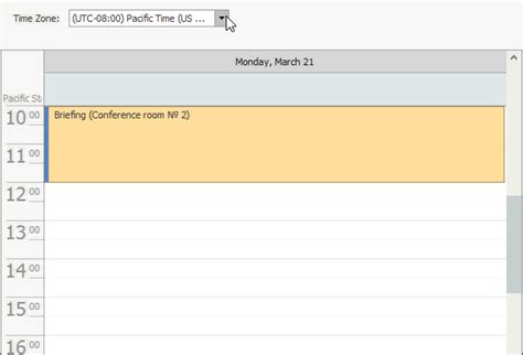 Scheduler Time Zones WinForms Controls DevExpress Documentation