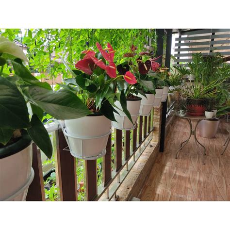 ที่แขวนกระถางต้นไม้ริมระเบียงพร้อมกระถาง ถูกที่สุด พร้อมโปรโมชั่น เม ย 2023 Biggoเช็คราคาง่ายๆ