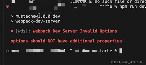 Webpack Dev Server Invalid Options Options Should Not Have Additional Proper Csdn博客