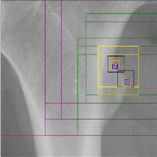 Typical CNN Classification Output With Candidates For Each Download Scientific Diagram
