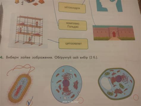 Вибачте за таке фото перше зображеня але поясніть будь ласка чому Школьные Знания Com