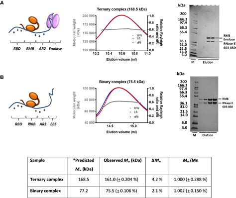 Figure 2 From Analysis Of The Natively Unstructured Rnaprotein