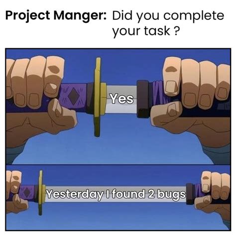 Found New Bugs R Programminghumor