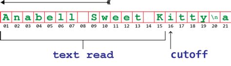 The Ins And Outs Of Fgets C For Dummies Blog