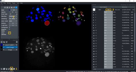Feature Extraction In Napari Focalplane