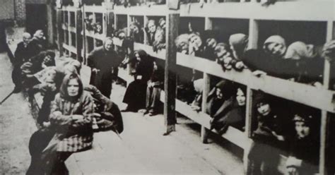 Holocausto Recordar Es Dignidad Humana Infobae
