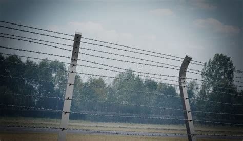 Barbed Wire Fence Border Concept Stock Illustration Illustration Of Security Barrier 324961359