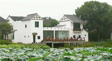 统战蓄力 续写乡村振兴新篇章