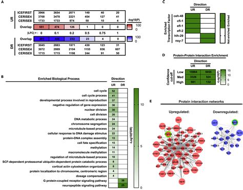 Comparative Transcriptomics Identifies Neuronal And Metabolic