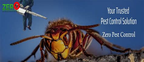 How To Start Using Commercial Pest Control In Noida Zero Pest Control