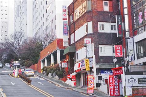 Python数分：一维数据分析和二维数据分析 知乎