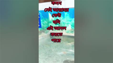 ফজিলতপূর্ণ একটি আমল Youtube