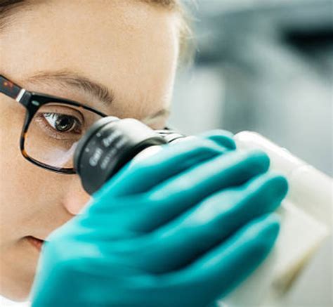 Material Science And Engineering L Vaupell L A Full Product Lifecycle Partner