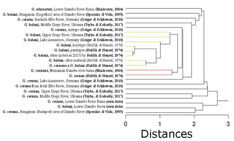 Dendrogram Of The Hierarchical Clustering Analysis Based On Download Scientific Diagram