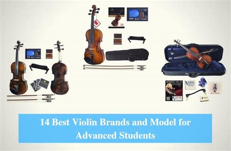 Best Violin Brands Usa At Mae Burley Blog