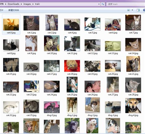 Tensorflow2学习22、手工标注数据并生成tfrecords Format格式数据集标注tf Csdn博客