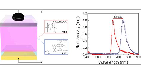 Organic Thin Film Red Light Photodiodes With Tunable Spectral Response Via Selective Exciton