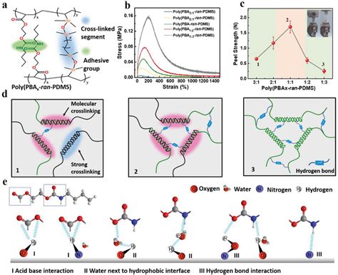 A Molecular Structures Of Poly Pbax‐ran‐pdms Block Copolymers B Download Scientific Diagram
