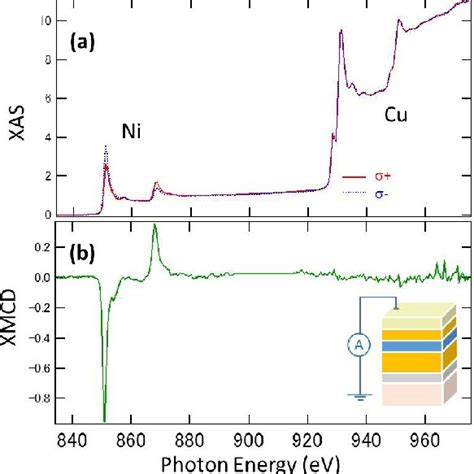 Color Online Xas And Xmcd Spectra Obtained At Ni And Cu L Edges In Download Scientific