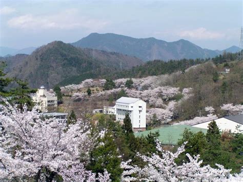 楽山公園富士の国やまなし観光ネット 山梨県公式観光情報