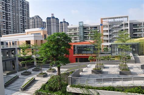小学 南海教育云平台