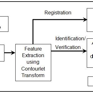 Palm Print Features PROPOSED METHOD FOR PALM PRINT RECOGNITION A Download Scientific