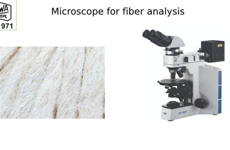 What Is The Resolving Power Of A Microscope Getner Instruments