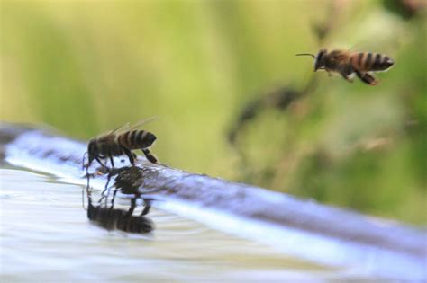 Alles Over Klimaatverandering Laatste Nieuws En Artikelen Welingelichtekringen Nl