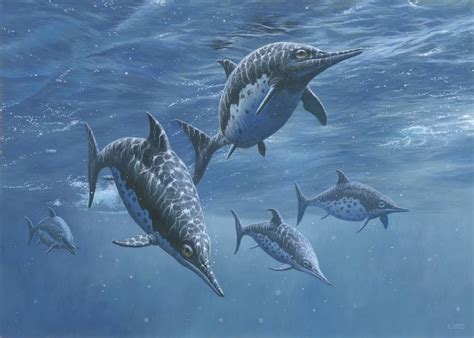 Ichthyosaurus Facts And Pictures