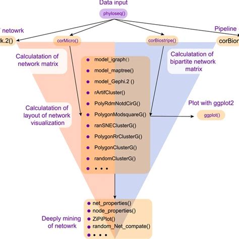 PDF GgClusterNet An R Package For Microbiome Network Analysis And Modularitybased Multiple
