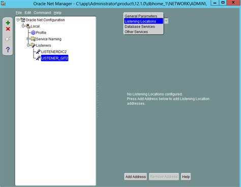 oracle database 12c network configuration