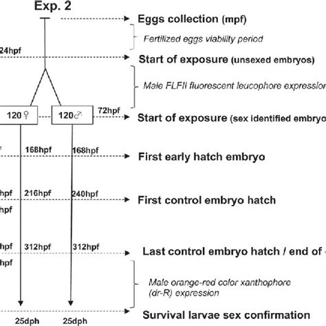 Embryotoxicity Experimental Temporal Trends Exp 1 Unknown Sex