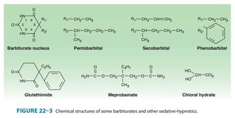 Chemical Classification Basic Pharmacology Of Sedative Hypnotics