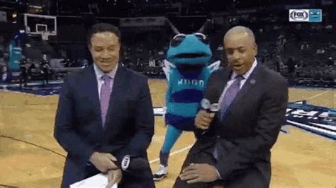 Charlotte Hornets Hugo The Hornet  Charlotte Hornets Hugo The