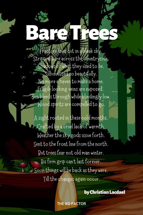 The Incredible Beauty And Tranquility Of Nature Poems The Xo Factor