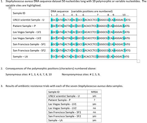 Staphylococcus Aureus Dna Sequence Dataset Nucleotides Long With Polymorphic Or Variable