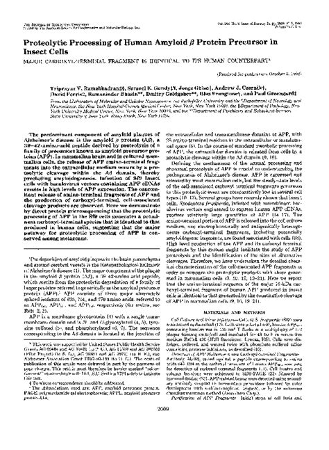 Pdf Proteolytic Processing Of Human Amyloid Beta Protein Precursor In Insect Cells Major