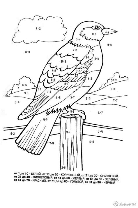 Розмальовки за номерами Розмальовки роздрукувати бесплатно
