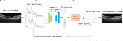 Figure 1 From Joint Deep Matching Model Of Oct Retinal Layer