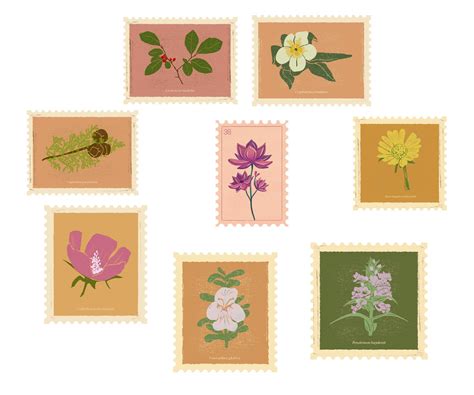 42 Plant Stamp Svg Plant Stamp Png Stamp Svg Bundle Postmark Svg