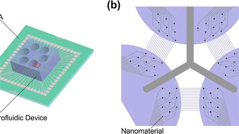 Simulation And Fabrication Of In Vitro Microfluidic Microelectrode