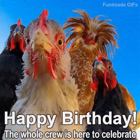 Funny Chicken Crew Happy Birthday  Download On