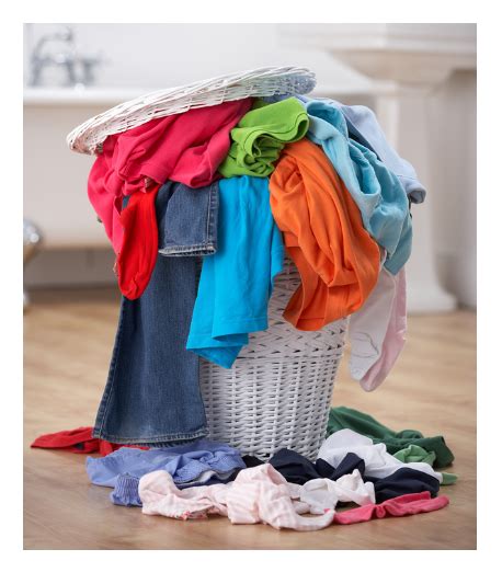 When Doing The Laundry Means More Sex Daily Plate Of Crazy