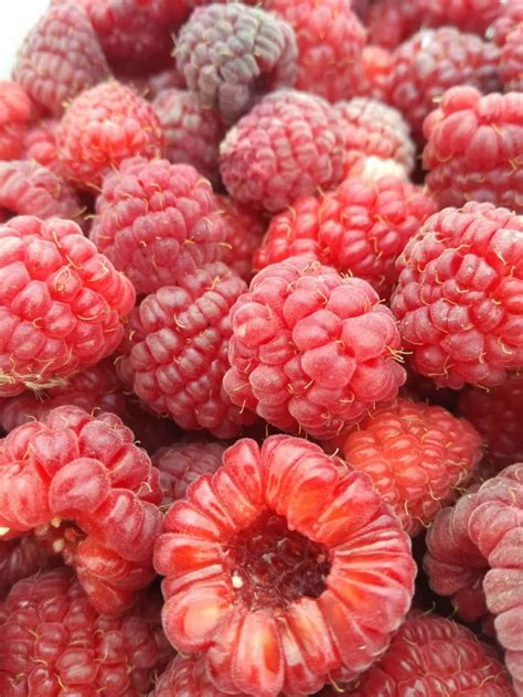 Пестицидите как да се предпазим Crossfit Dream