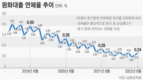 국내 은행 8월 대출 연체율 0 24 코로나19 지원 착시