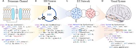 figure 3 from a differentiable brain simulator bridging brain