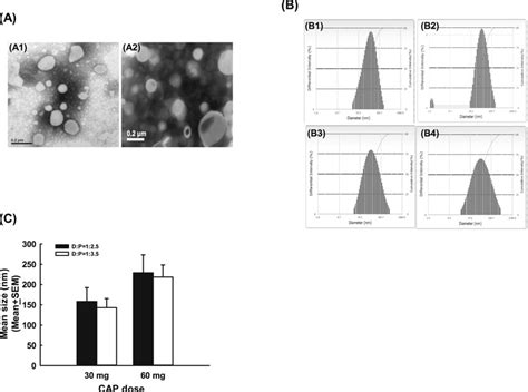 Characteristics Of Various Dosages Of Cap Loaded Liposomes A Download Scientific Diagram
