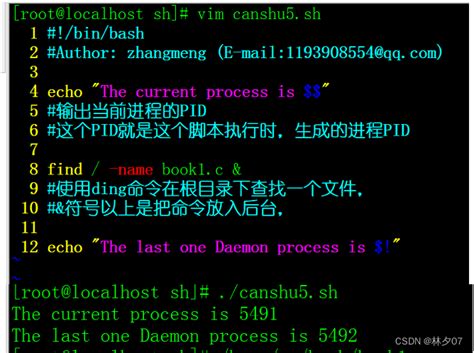 【shell编程】shell中bash变量 预定义变量 阿里云开发者社区
