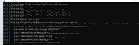 Aas Json Deserialization Error · Issue 136 · Fraunhoferiosbfaaast